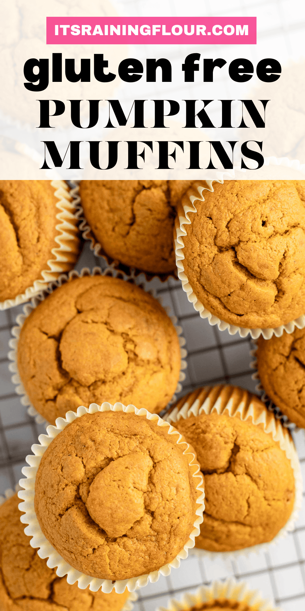 Easy Pumpkin Oat Flour Muffins – Gluten Free